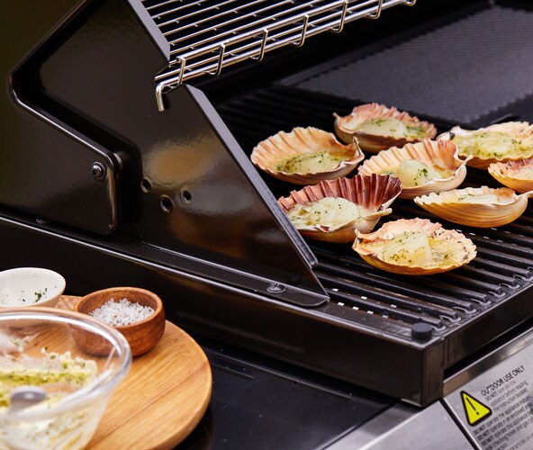 Grills & Plates | BeefEater Australia